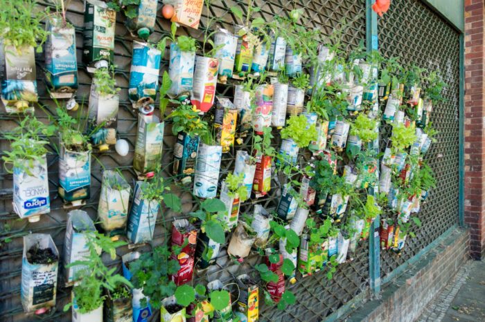Guerilla Gardening Takes Aim At Access to Clean Food and Plant Medicine